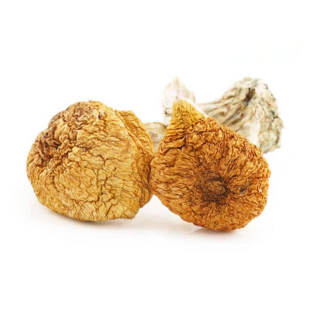 Buy Shrooms Online Canada | Magic Mushroom Dispensary | BC Weed Edible