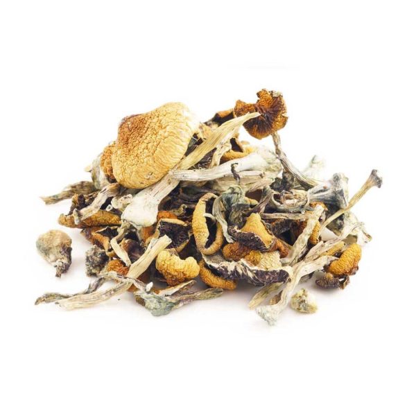 Buy Dried Shrooms Canada | Order Dried Psilocybin Mushroom | BC Weed Edible