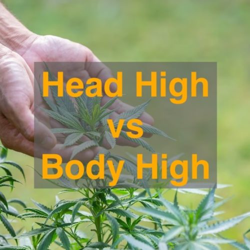 Head High vs Body High - What's the Difference? 2026 | BC Weed Edible